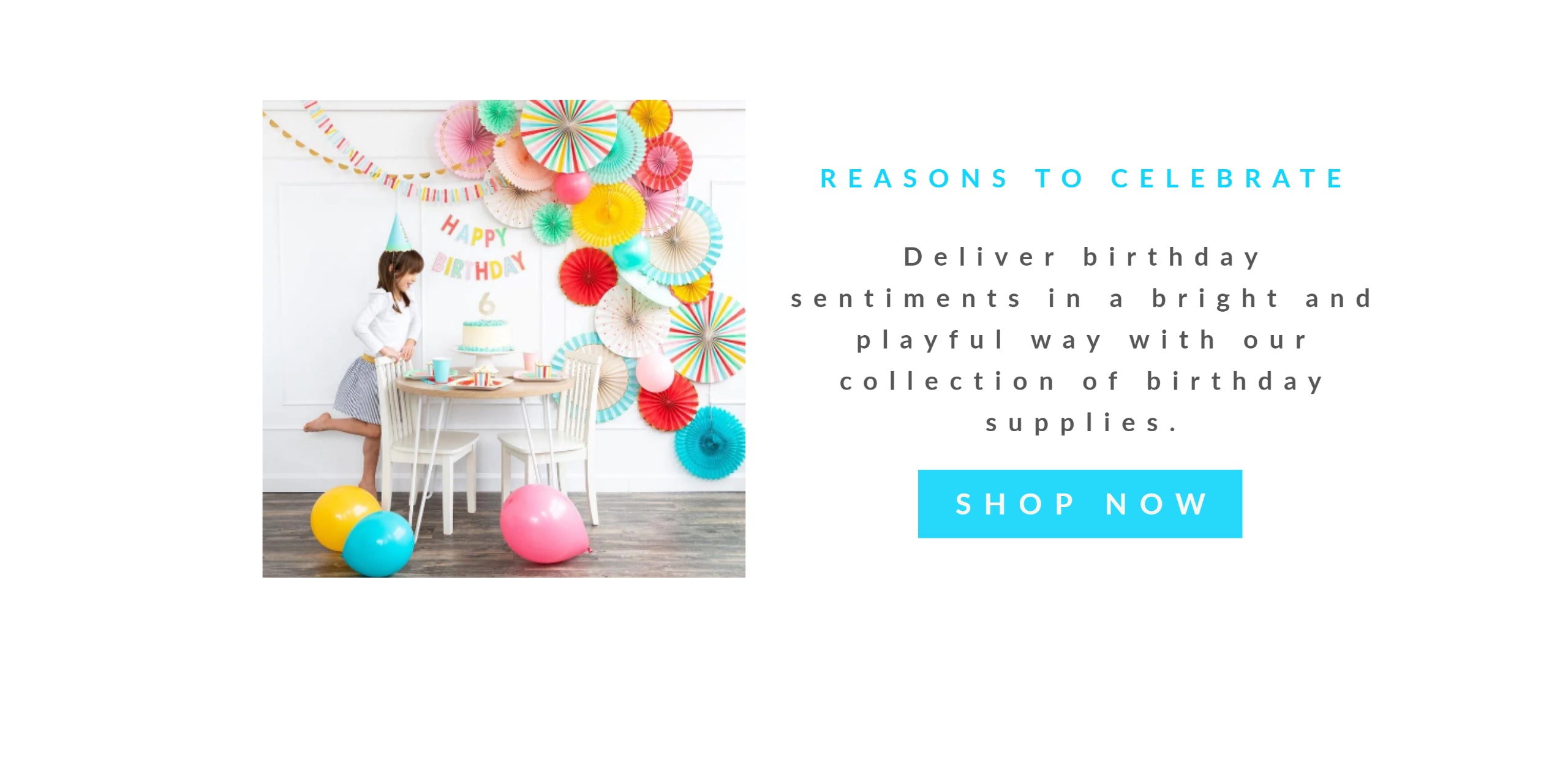 The Party Scene: Modern Party Supplies, Favors & Decorations – The ...